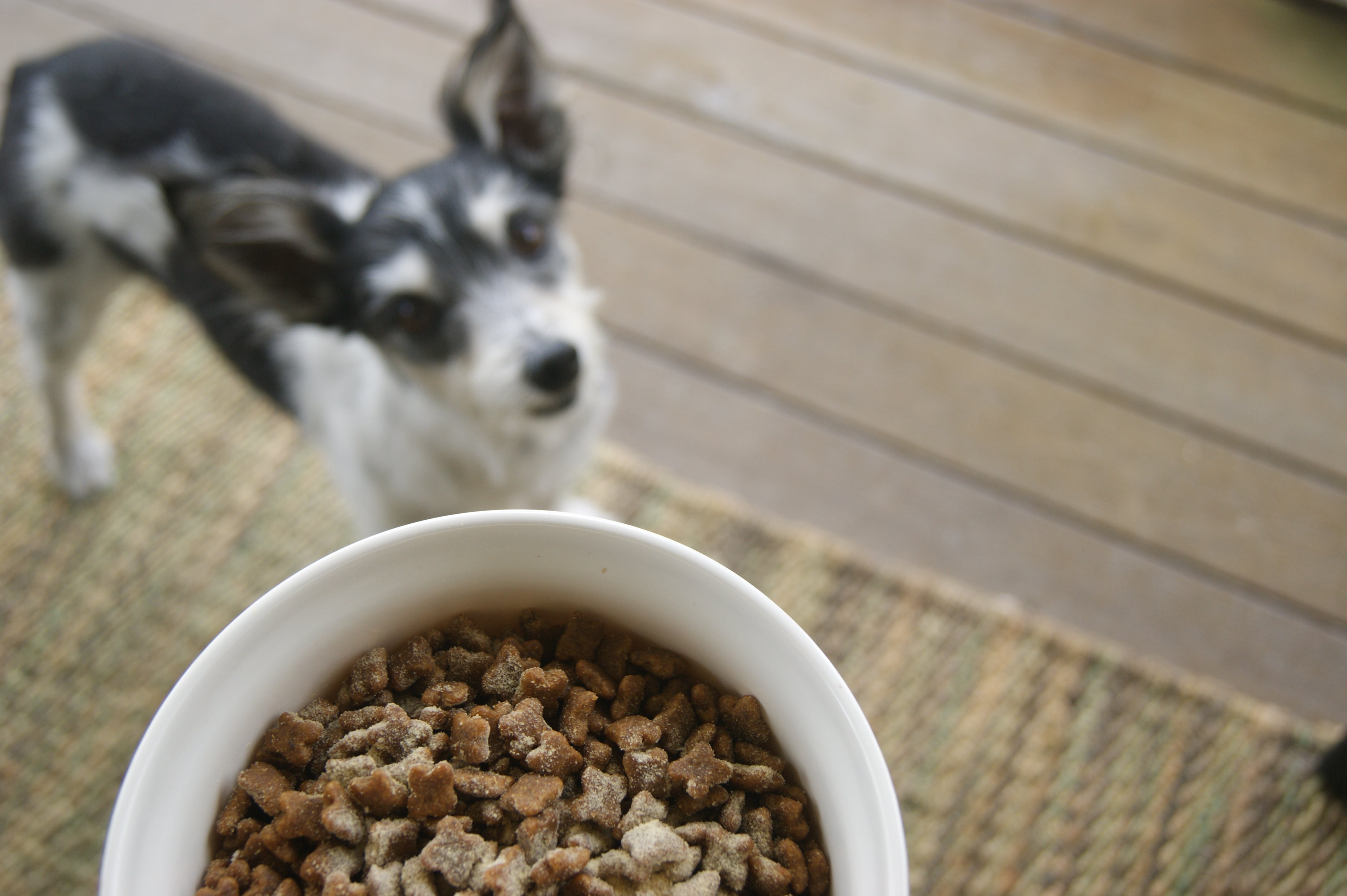 How to Introduce Collagenie Meal Boosters